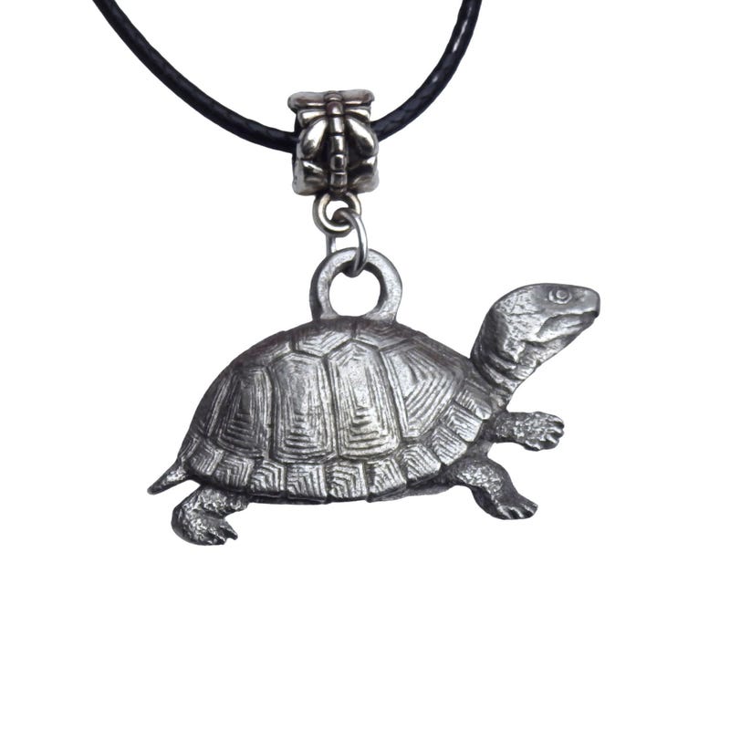 Box Turtle - Etsy