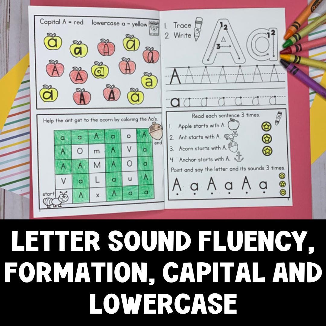 ABC Books Letter Identification and Sounds Activities Learning the ...