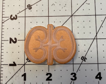 Kidney Resin Badge Reel - Etsy