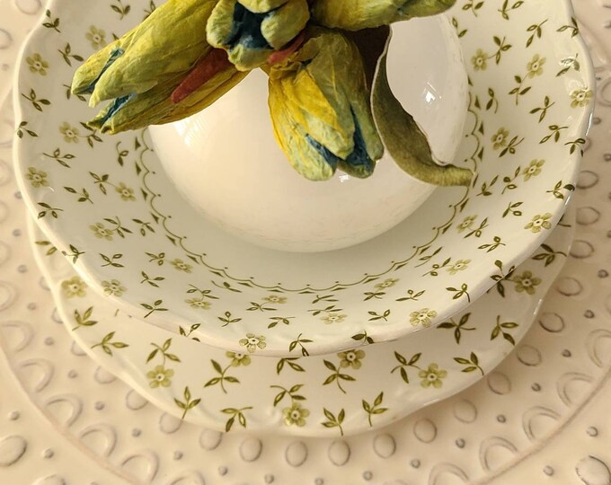 Forget-me-not Set 7 Vintage J & G Meakin English Staffordshire Sterling ...