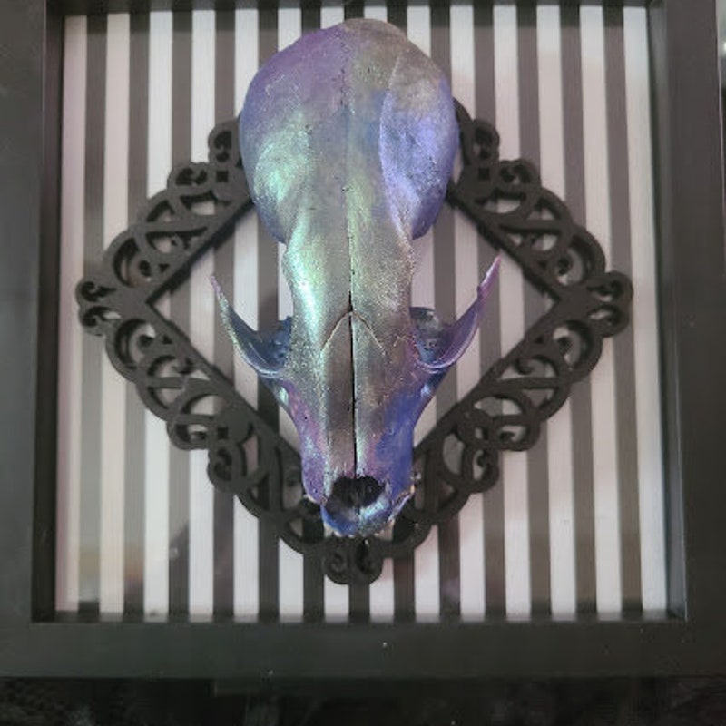 Decorative Skulls - Etsy