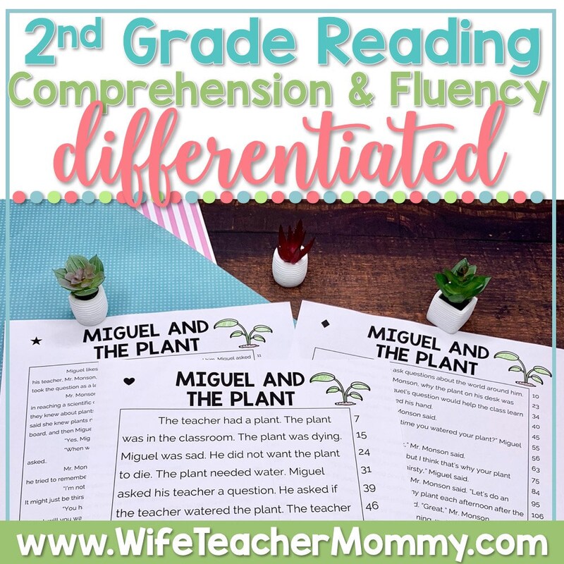 2nd Grade Reading Comprehension - Etsy