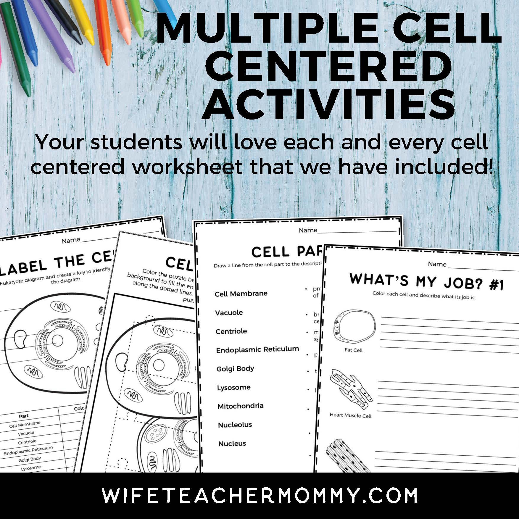 Prokaryotic & Eukaryotic Cells Worksheets | Comprehensive Cell Unit - Etsy