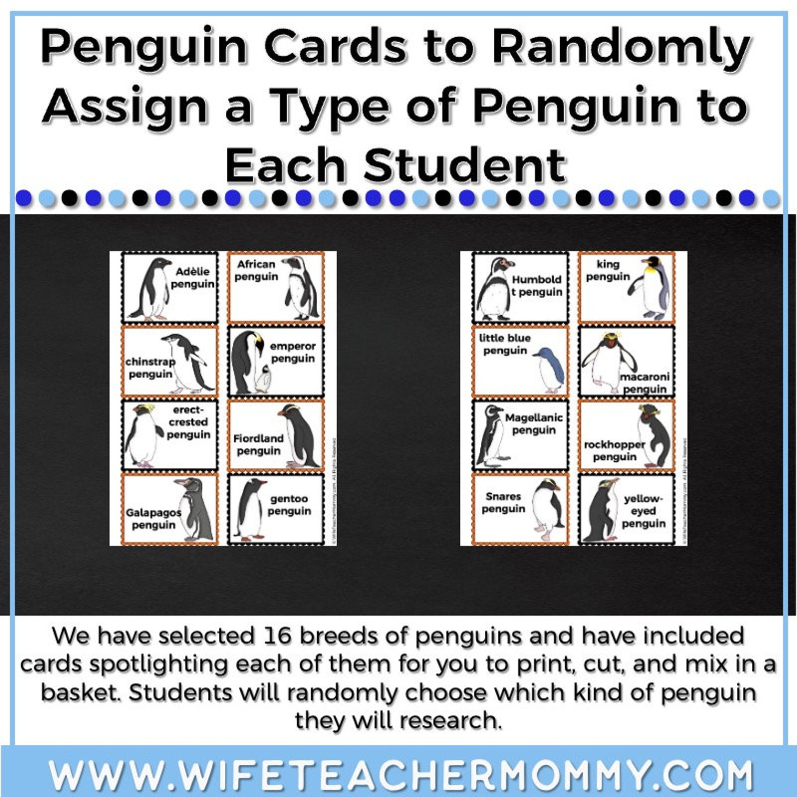 Lower and Upper Grades Penguins Research Unit (print Version) - Etsy