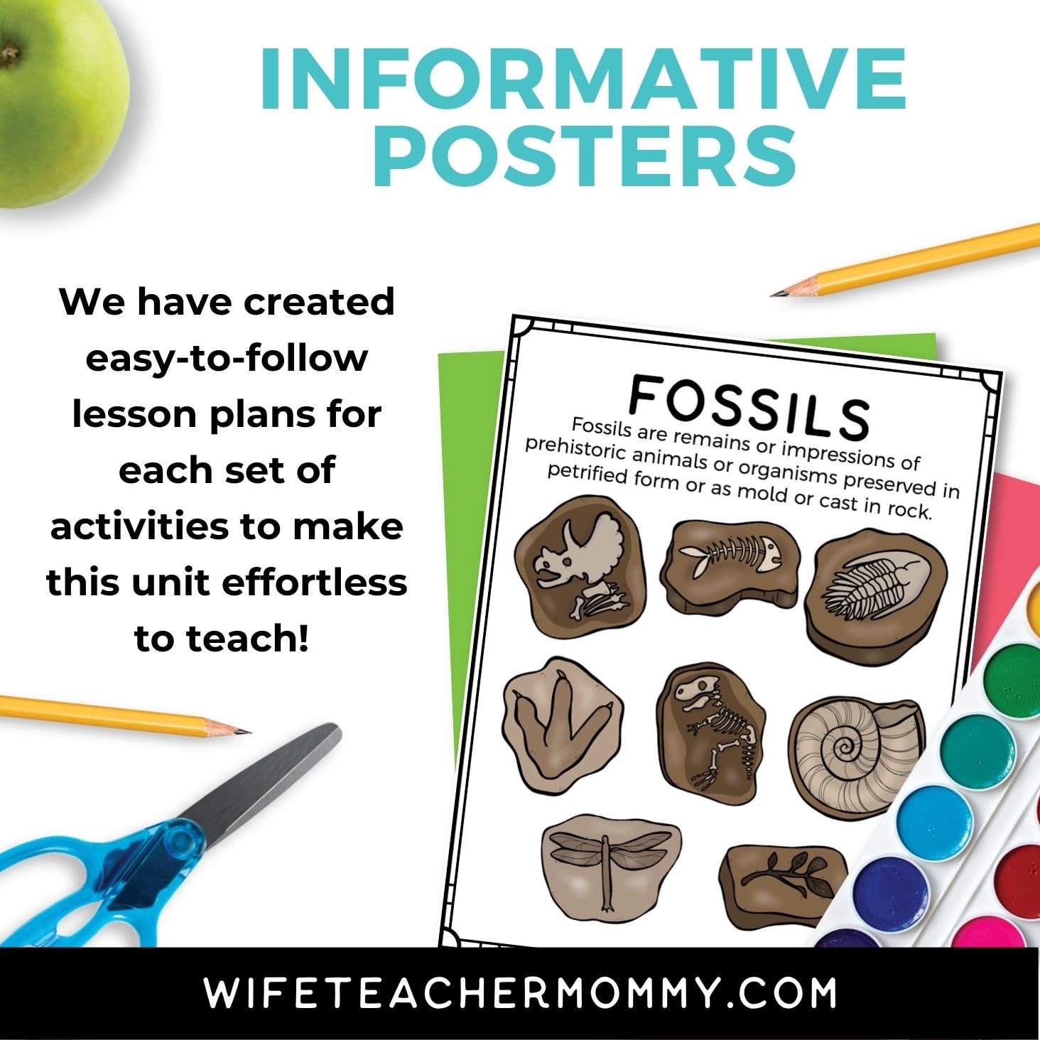 Fabulous Fossil Unit for Upper Grades - Lesson Plans, Worksheets, Etc ...