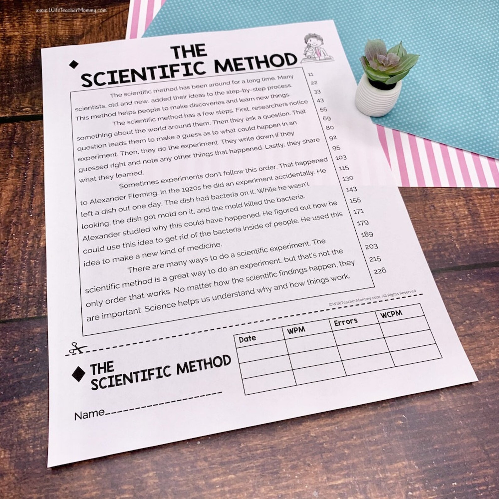 3rd Grade Homeschool Curriculum Reading for Comprehension and - Etsy