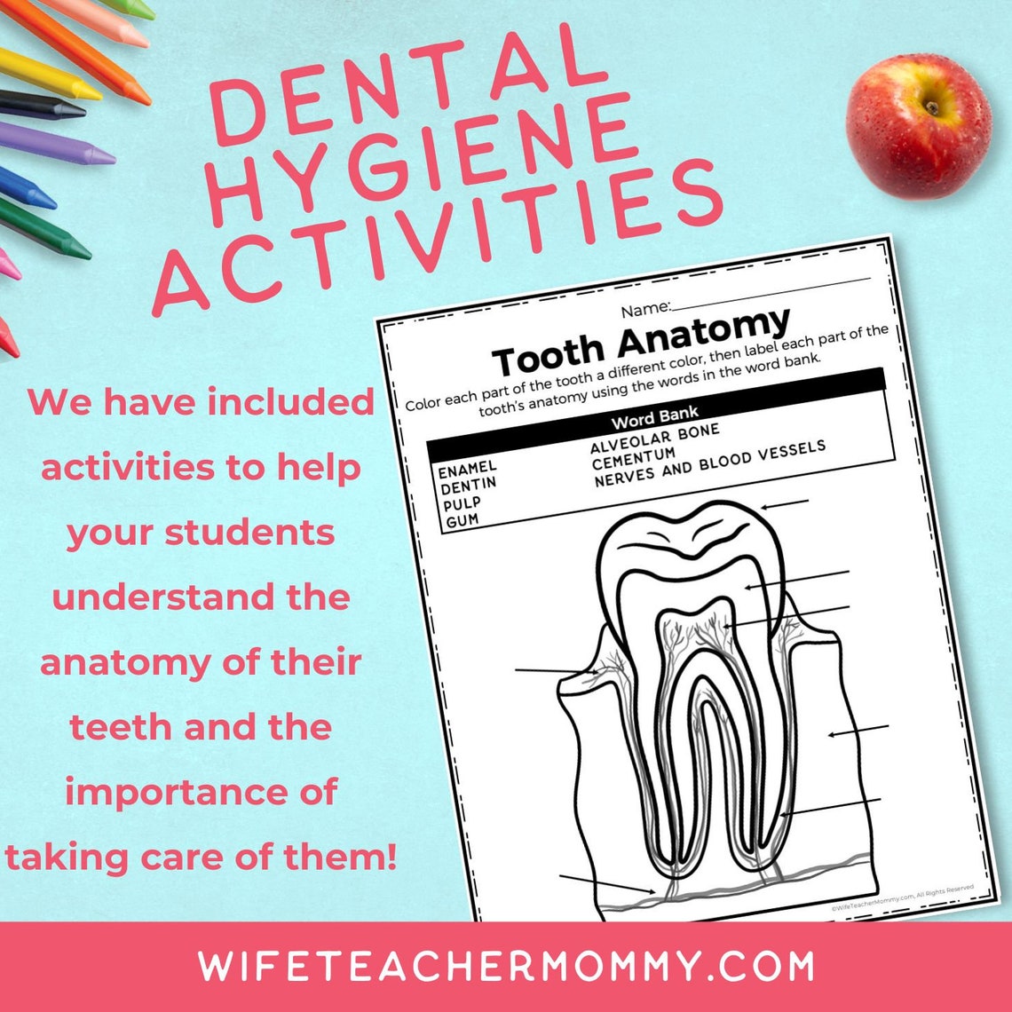 Health & Hygiene for Upper Grades - Lesson Plans, Worksheets, and More ...