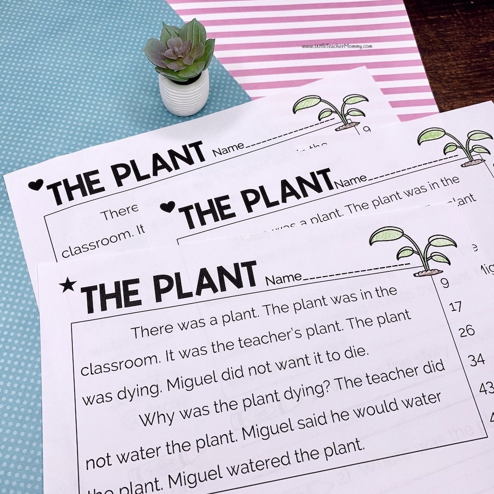 Kindergarten Homeschool Curriculum for Reading Comprehension and ...