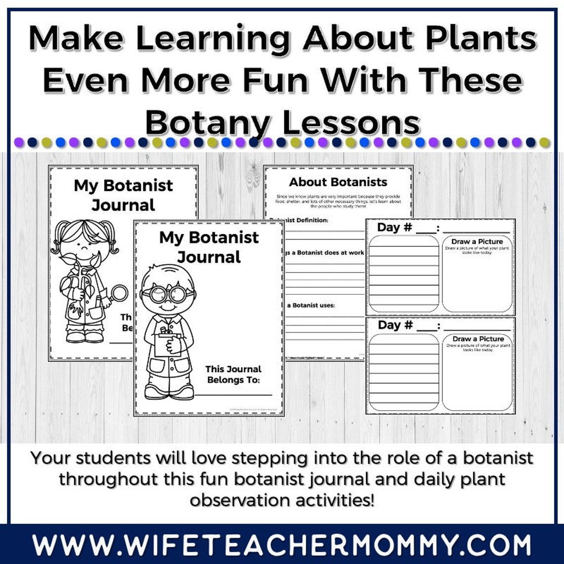 Upper Grades Plant & Botany Print Unit (worksheets, Lesson Plans, Etc ...