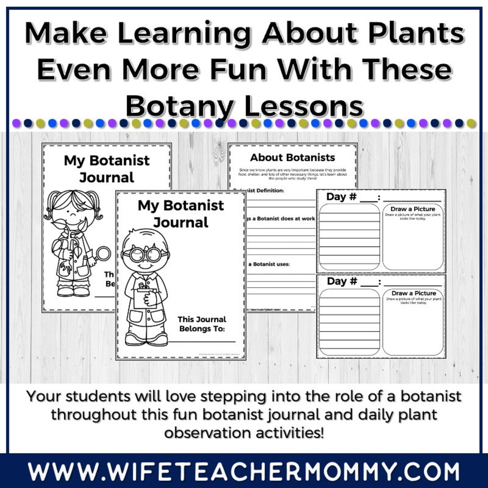 Upper Grades Plant & Botany Print Unit worksheets, Lesson Plans, Etc ...