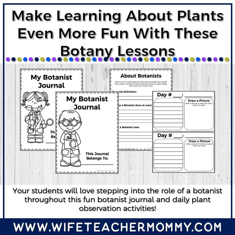 Upper Grades Plant & Botany Print Unit worksheets, Lesson Plans, Etc ...