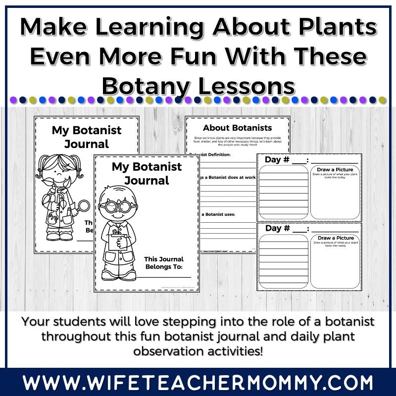 Upper Grades Plant & Botany Print Unit worksheets, Lesson Plans, Etc ...