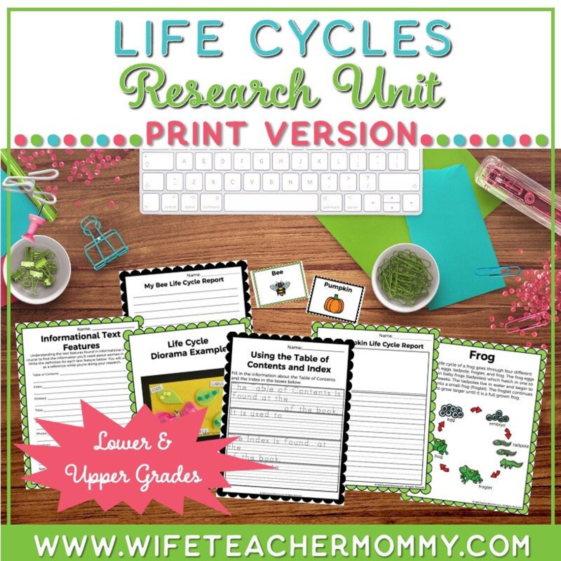 Lower and Upper Grades Life Cycle Research Unit print - Etsy