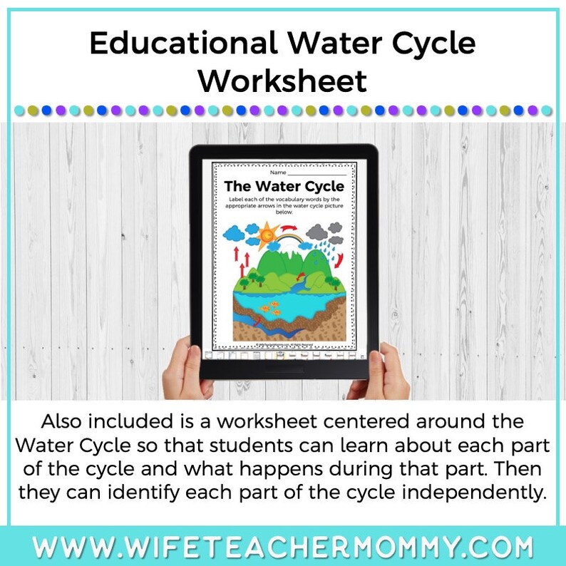Lower and Upper Grades Water Cycle Thematic Unit digital - Etsy
