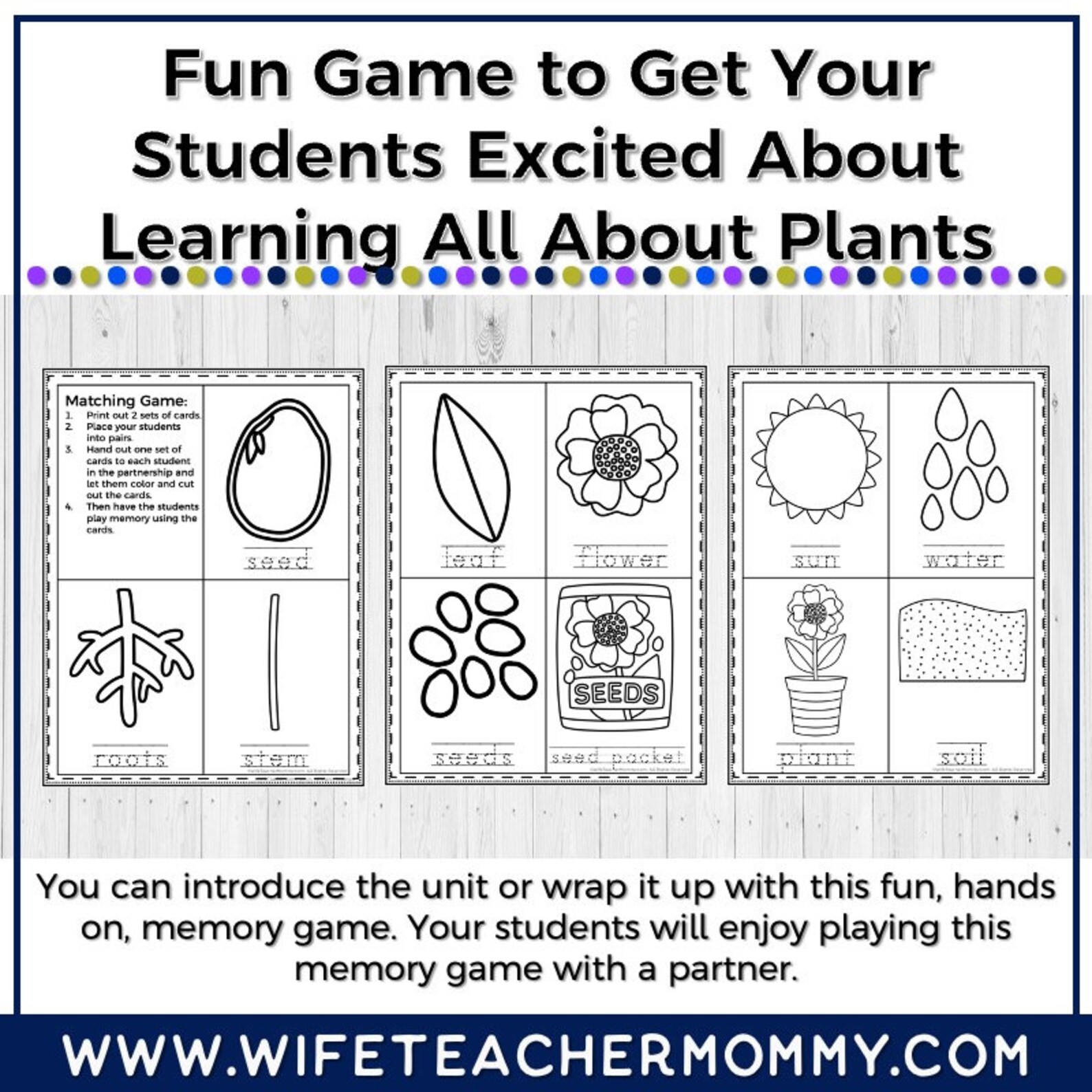 Upper Grades Plant & Botany Print Unit (worksheets, Lesson Plans, Etc ...