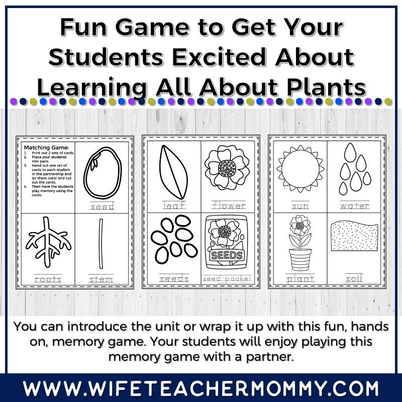 Upper Grades Plant & Botany Print Unit worksheets, Lesson Plans, Etc ...