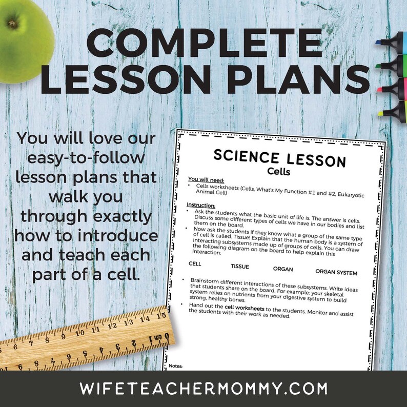 Prokaryotic & Eukaryotic Cells Worksheets | Comprehensive Cell Unit - Etsy
