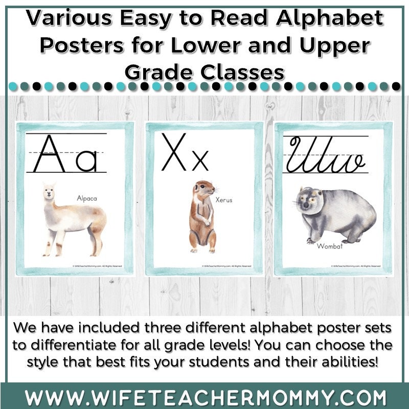 Adventure Classroom Decor Pack - Etsy