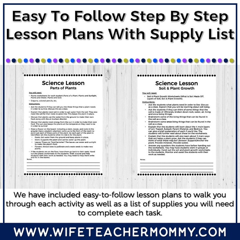 Upper Grades Plant & Botany Print Unit worksheets, Lesson Plans, Etc ...