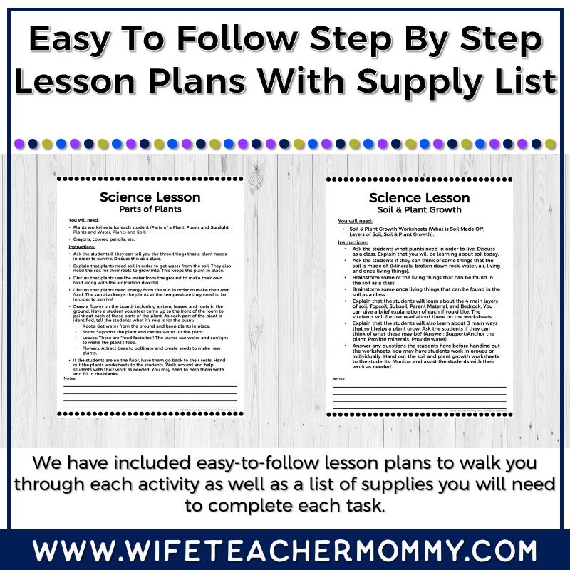 Upper Grades Plant & Botany Print Unit (worksheets, Lesson Plans, Etc ...