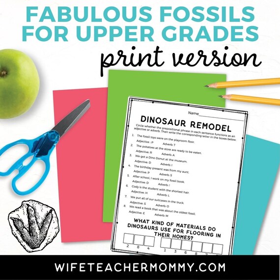 Fossil Worksheets Grade 2