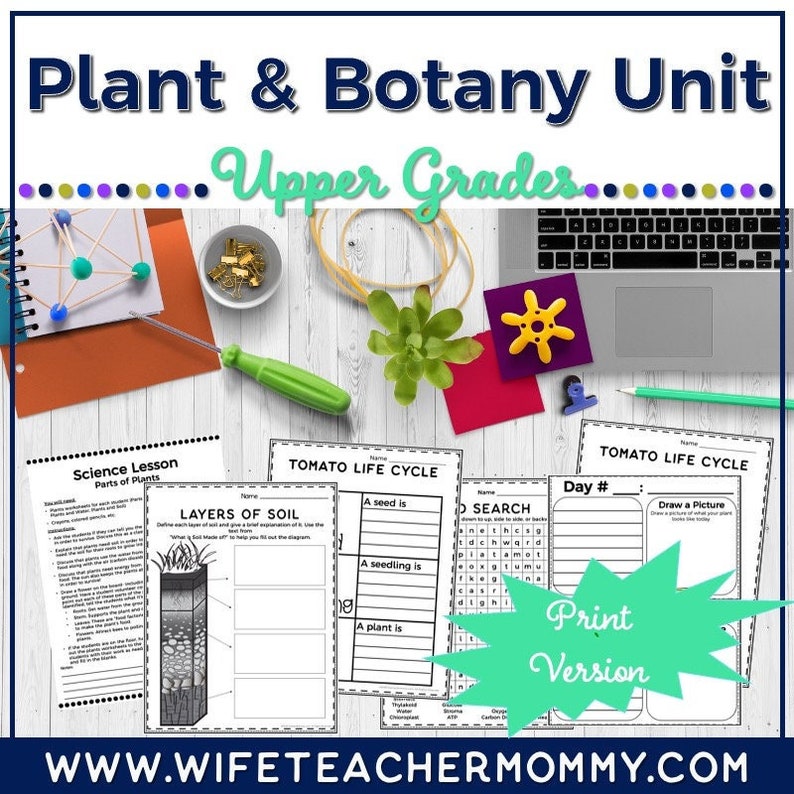 Upper Grades Plant & Botany Print Unit (worksheets, Lesson Plans, Etc ...