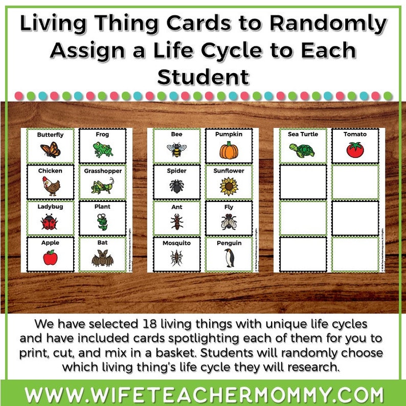 Lower and Upper Grades Life Cycle Research Unit (print Version) - Etsy