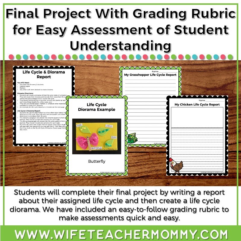 Lower and Upper Grades Life Cycle Research Unit (print Version) - Etsy