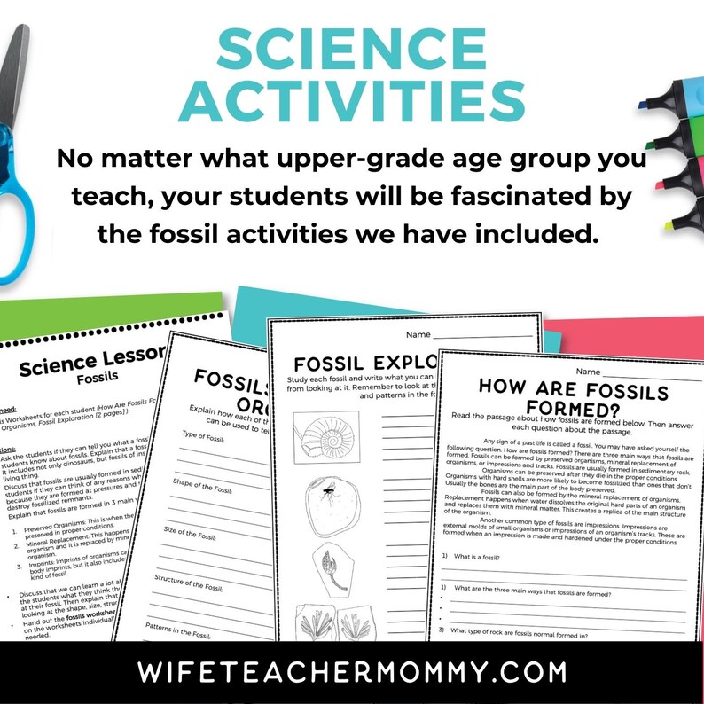 Fabulous Fossil Unit for Upper Grades - Lesson Plans, Worksheets, Etc ...
