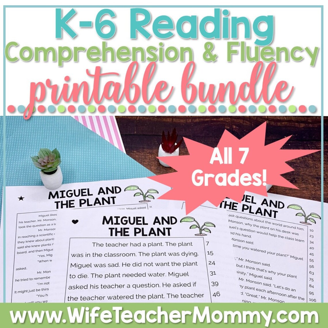 Reading Comprehension and Fluency Homeschool Curriculum Bundle ...