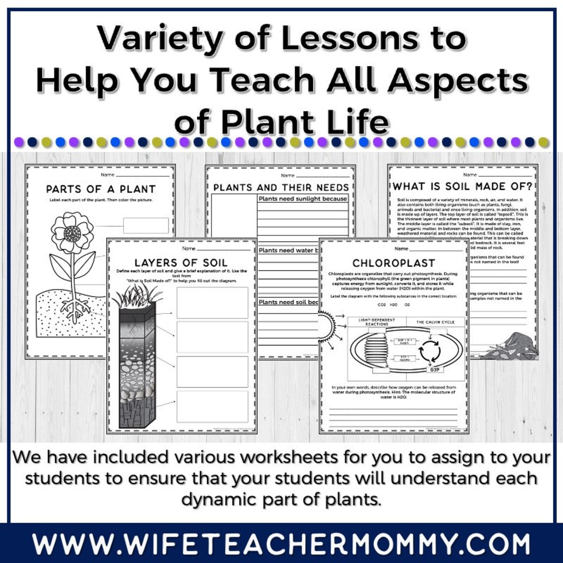Upper Grades Plant & Botany Print Unit worksheets, Lesson Plans, Etc ...