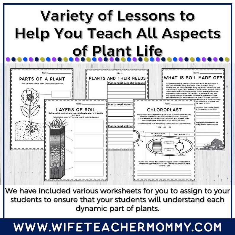 Upper Grades Plant & Botany Print Unit worksheets, Lesson Plans, Etc ...