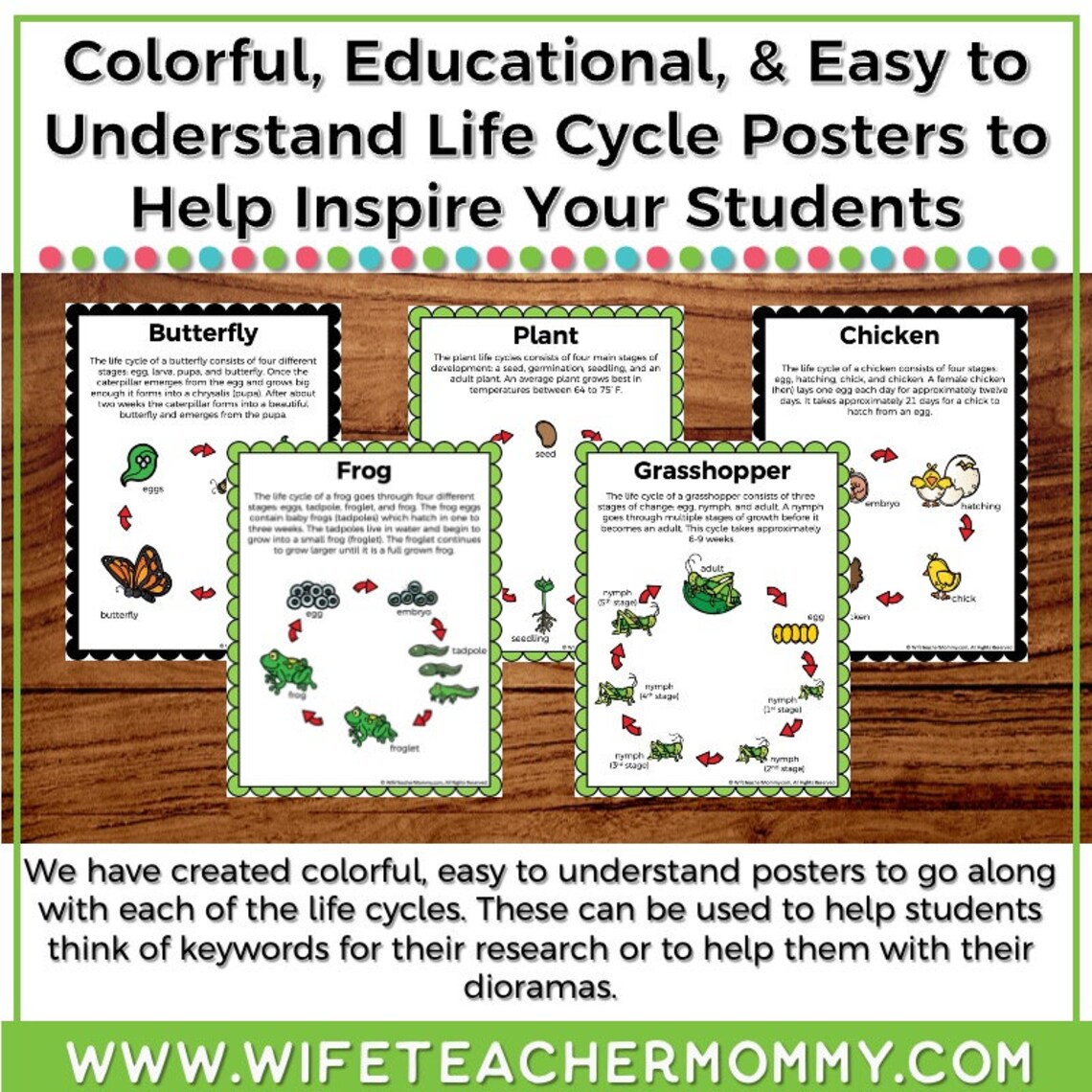 Lower and Upper Grades Life Cycle Research Unit print - Etsy