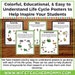 Lower and Upper Grades Life Cycle Research Unit print - Etsy