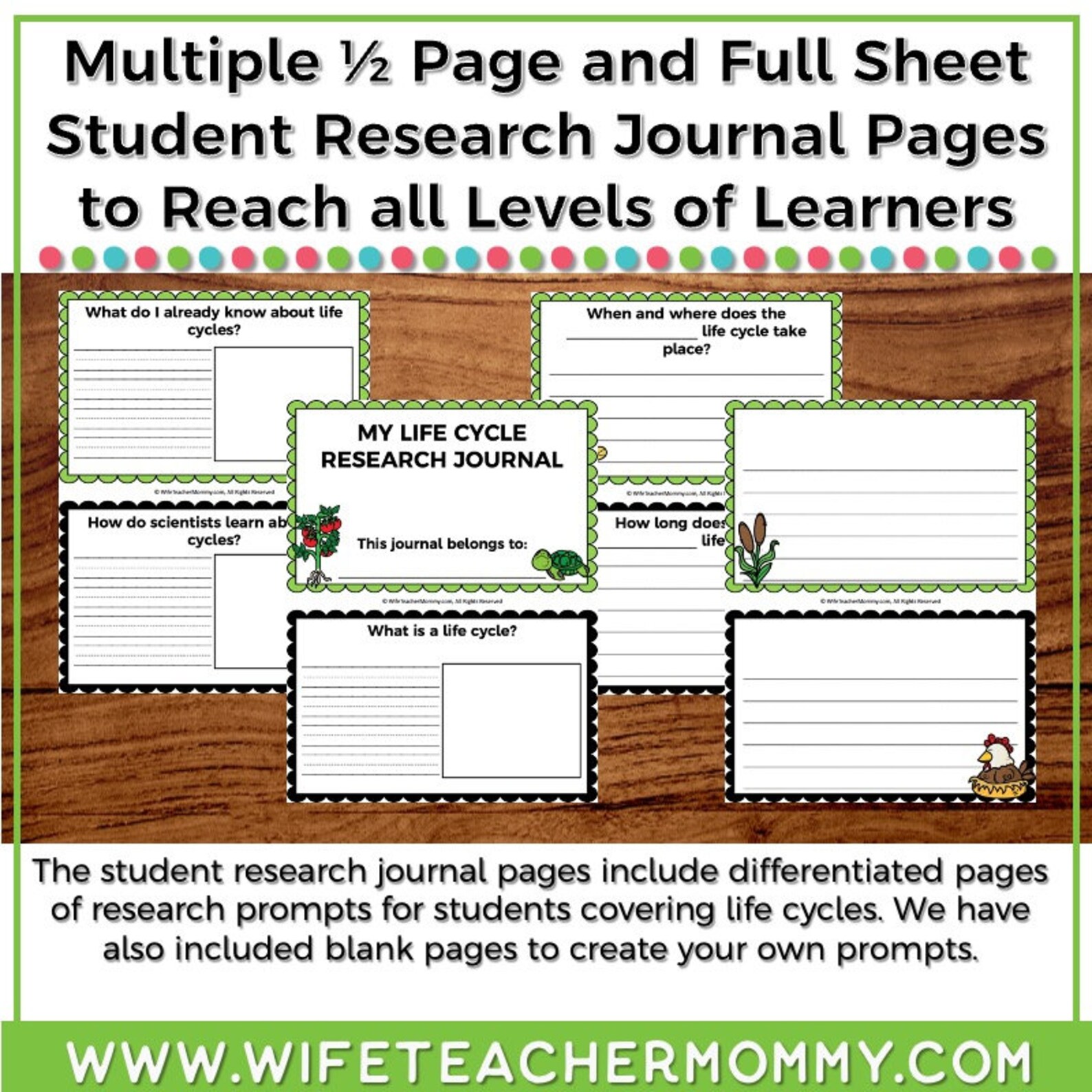 Lower and Upper Grades Life Cycle Research Unit print - Etsy