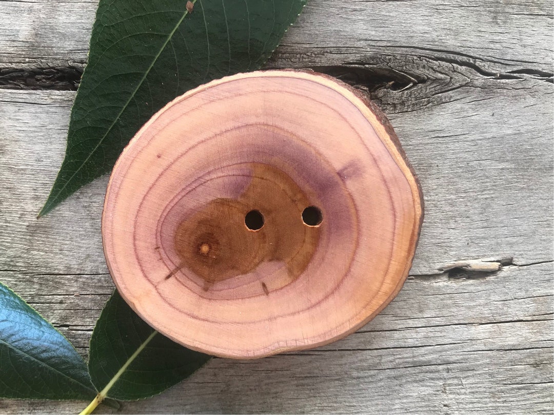 Apple Wood Statement Button // Extra Large Wooden Button // Rustic Tree ...