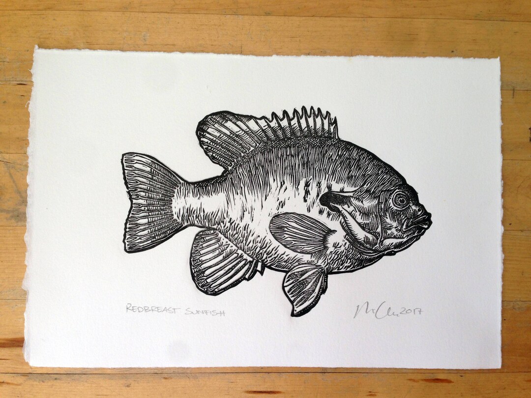 Redbreast Sunfish: Linocut Original Hand-pulled Relief Print - Etsy