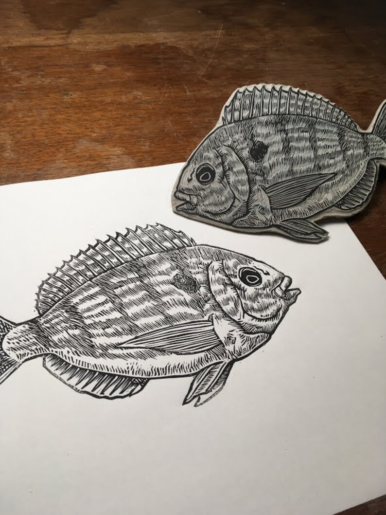 Pinfish Porgy Fishing Angler Salt Life - Etsy