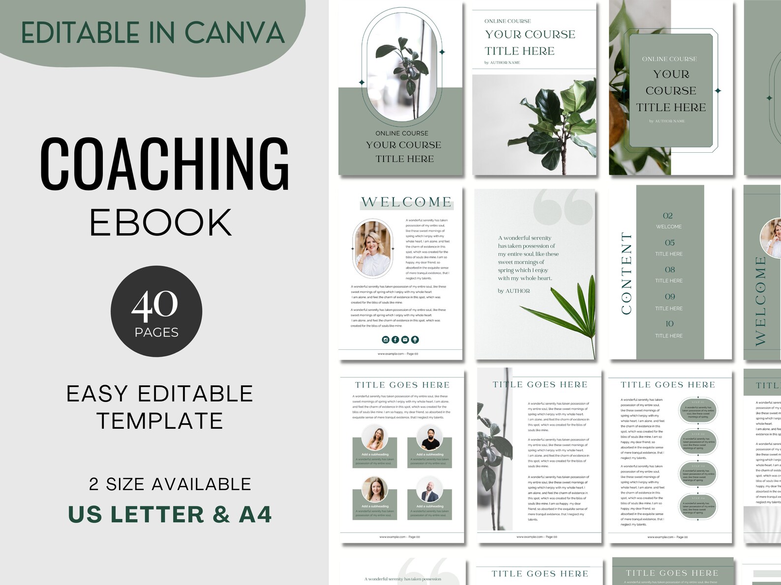 Editable Workbook Template, Canva Coaching Ebook Template, Lead Magnet ...