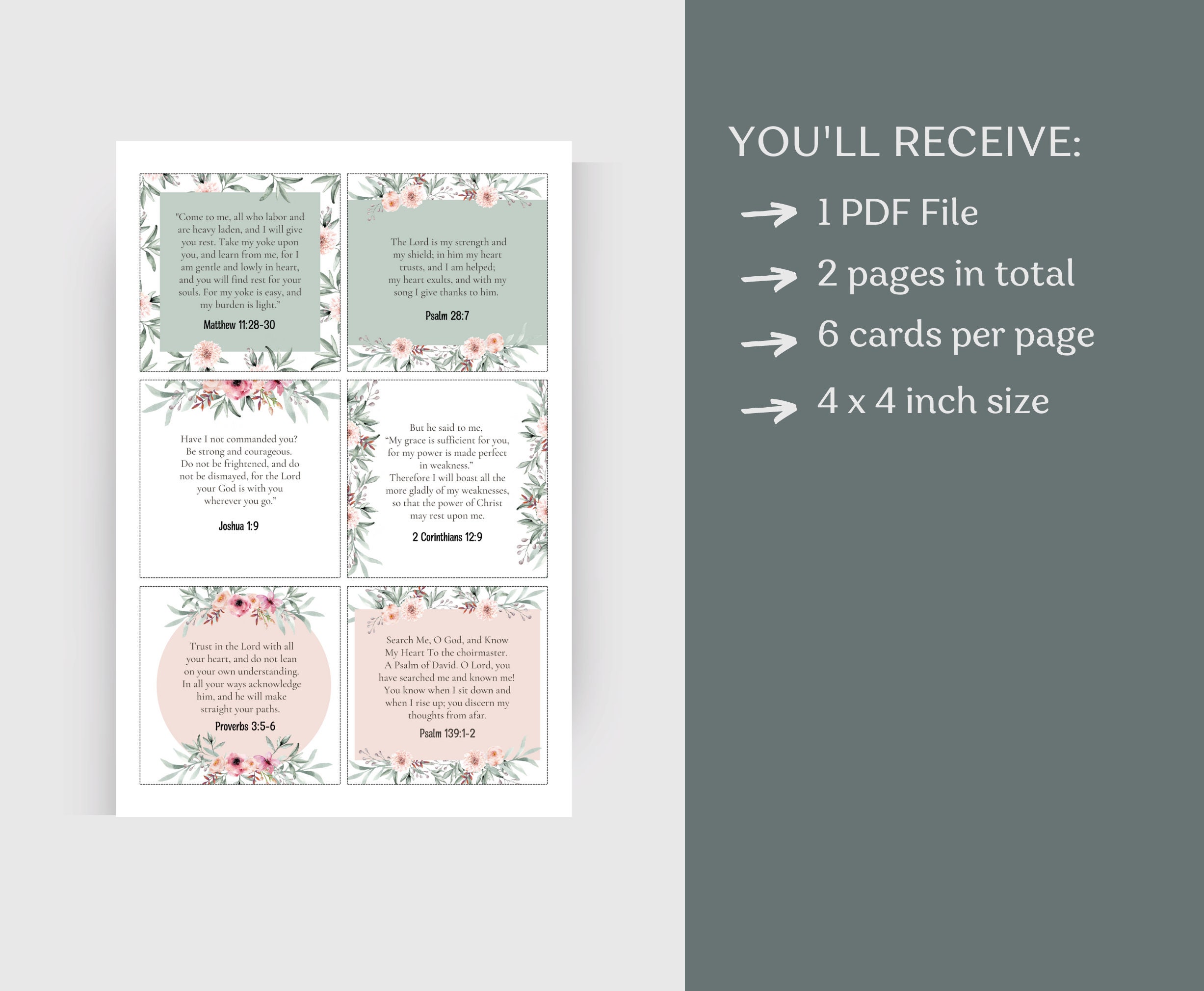 12 Bible Affirmation Cards Scripture Cards Bible Verse for - Etsy