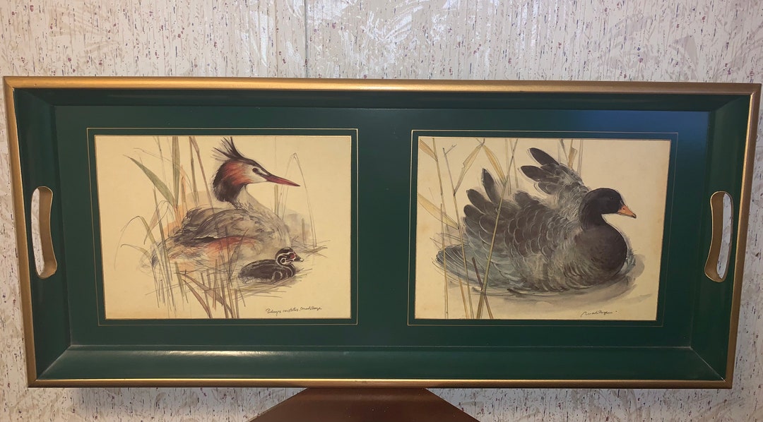 Rare Lady Clare Gould Duck Tray 23x10 England - Etsy