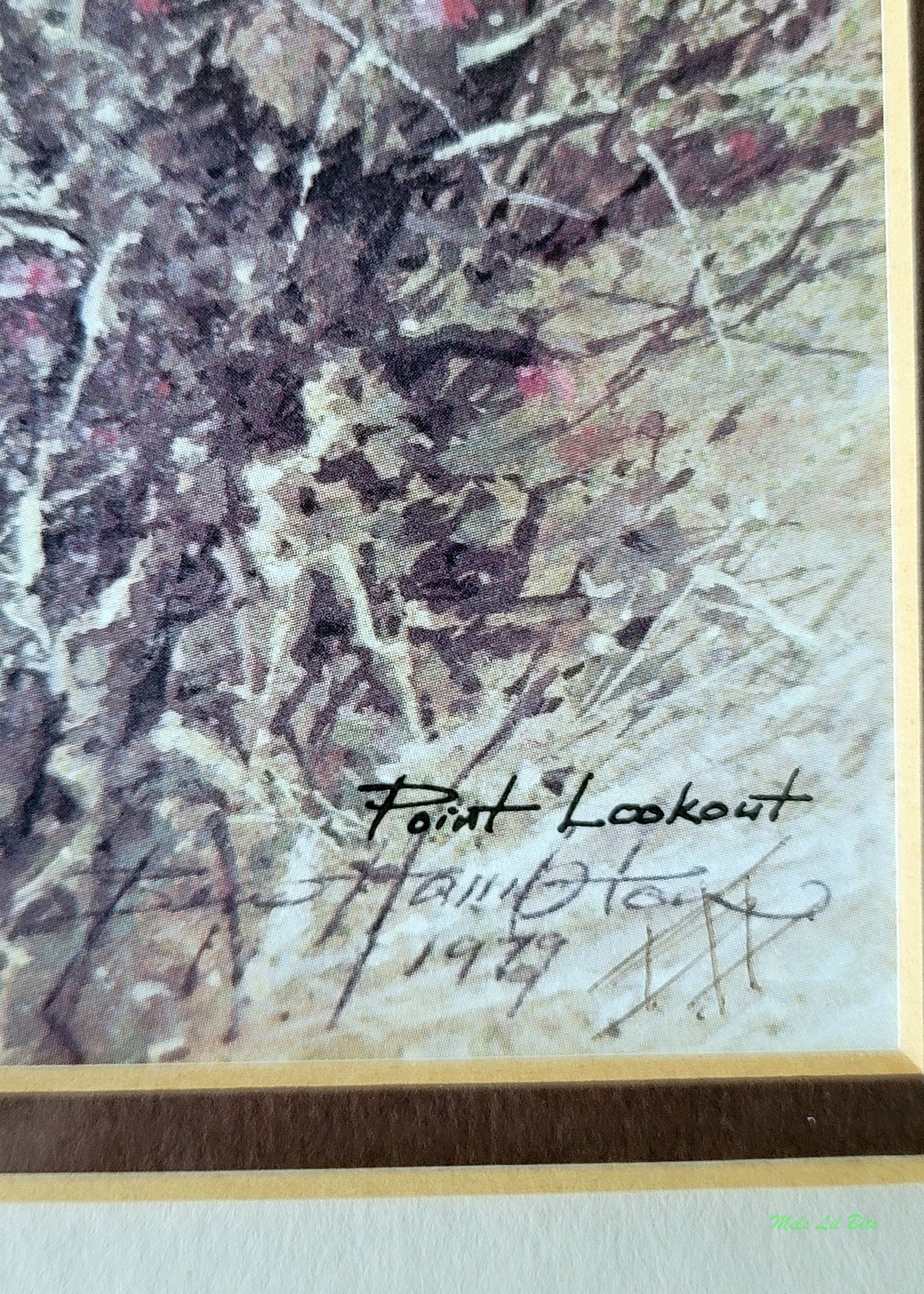 Nancy Ward Heritage Series Chota Artifacts Point Lookout the Inn by Ben ...