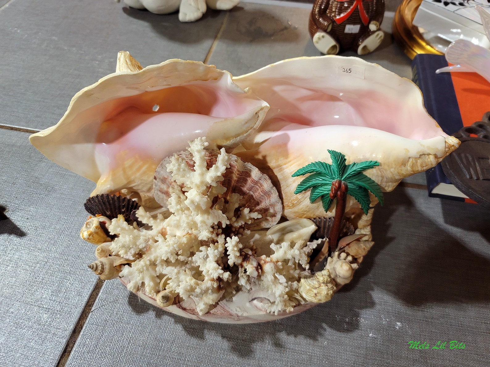 Seashell Centerpiece Entryway Conch Shell Coastal Art Table Decor - Etsy