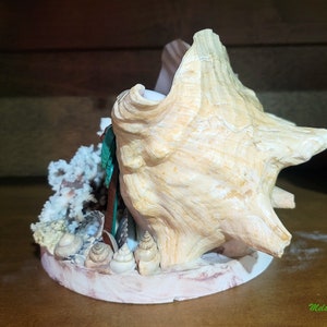 Seashell Centerpiece Entryway Conch Shell Coastal Art Table Decor - Etsy