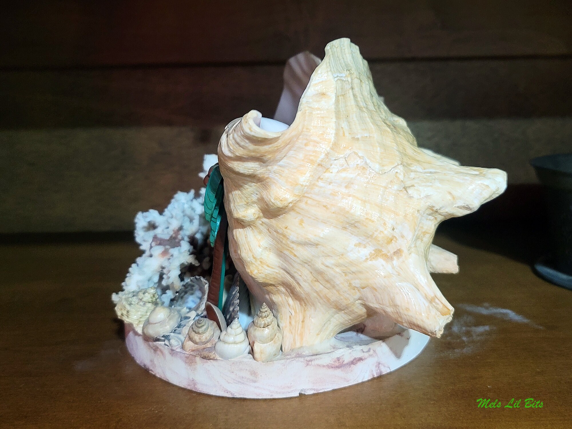 Seashell Centerpiece Entryway Conch Shell Coastal Art Table Decor - Etsy