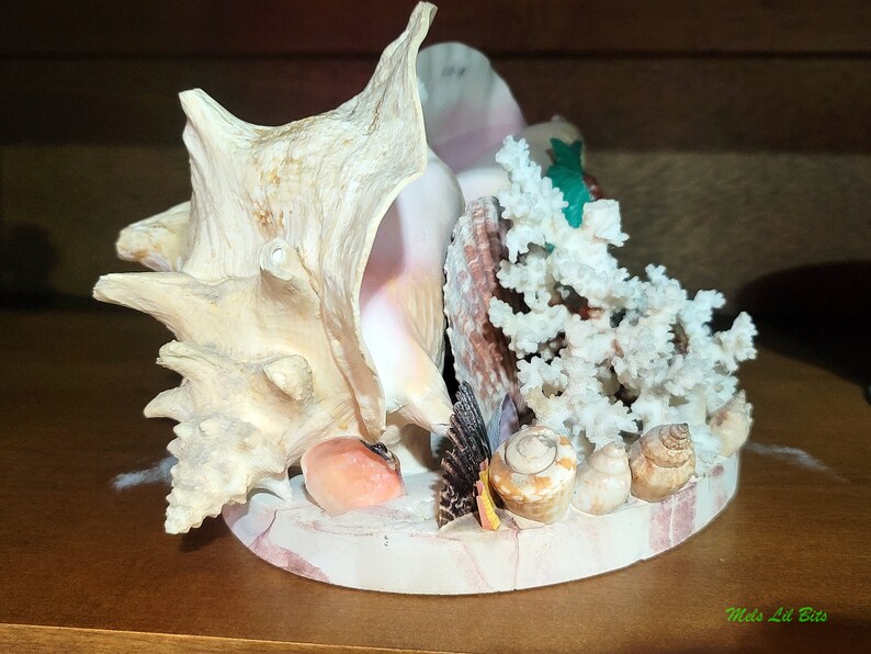 Seashell Centerpiece Entryway Conch Shell Coastal Art Table Decor - Etsy