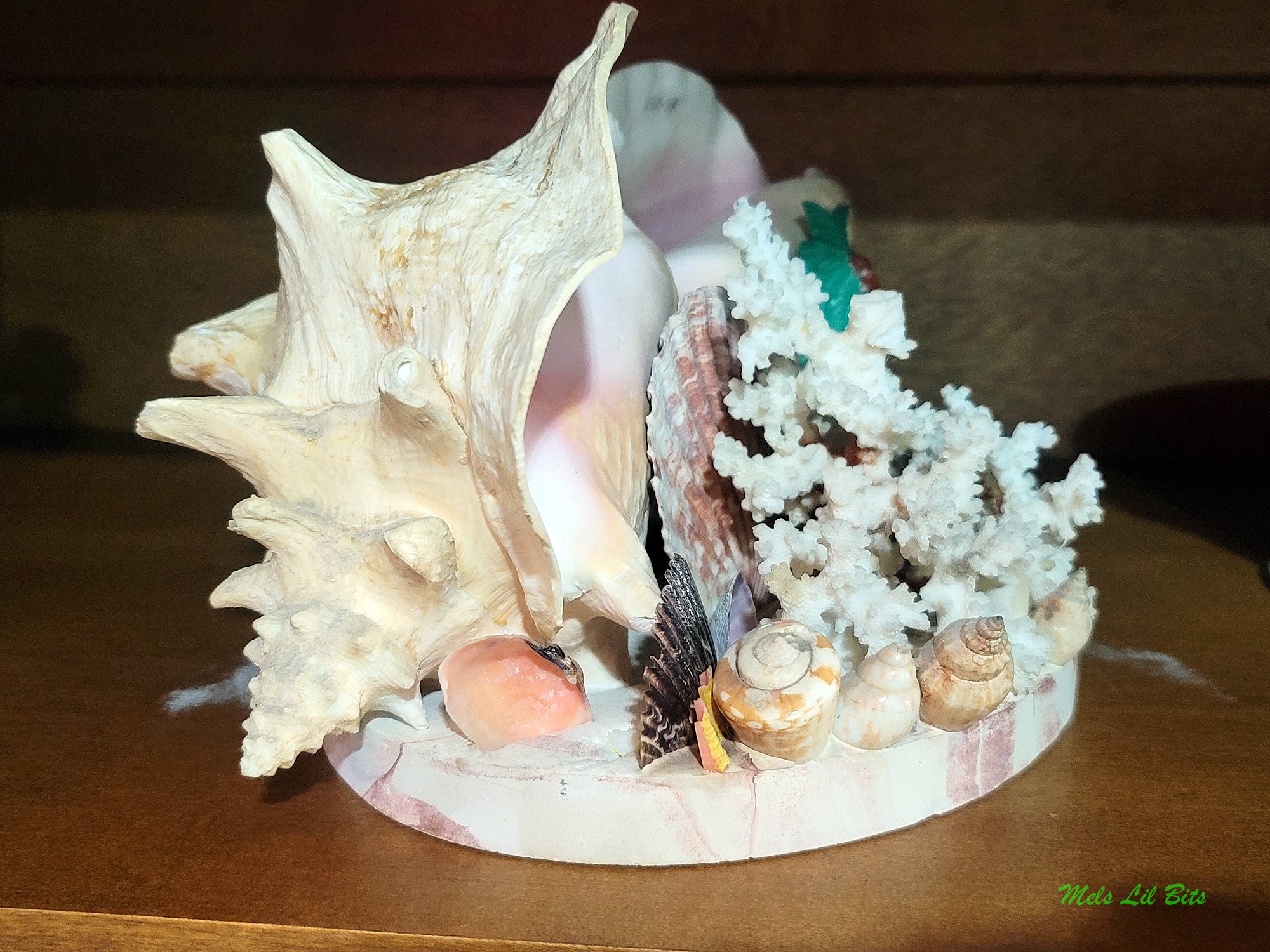 Seashell Centerpiece Entryway Conch Shell Coastal Art Table Decor - Etsy