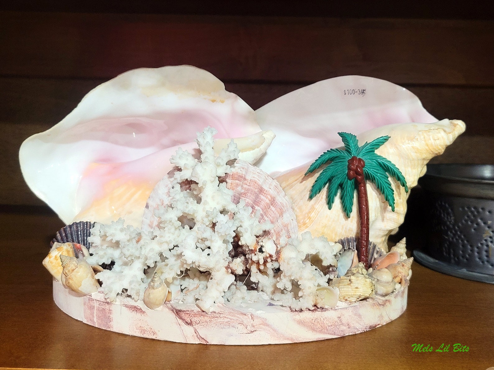 Seashell Centerpiece Entryway Conch Shell Coastal Art Table Decor - Etsy