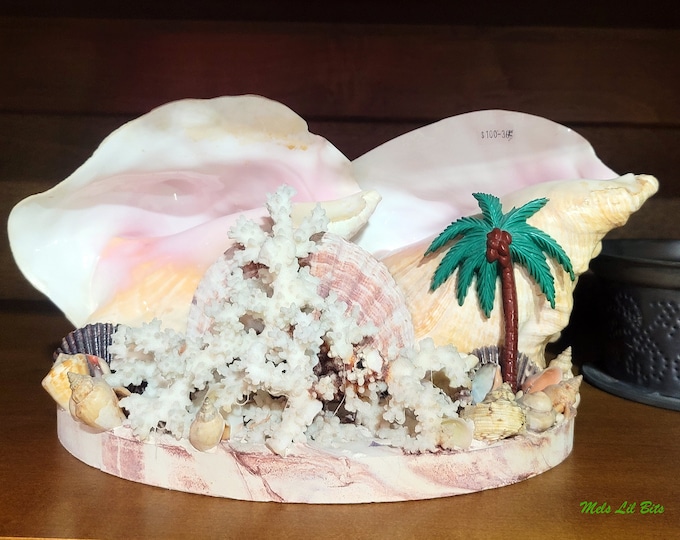 Seashell Centerpiece Entryway Conch Shell Coastal Art Table Decor - Etsy