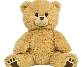 Teddy Bear With Recording Voice - Etsy